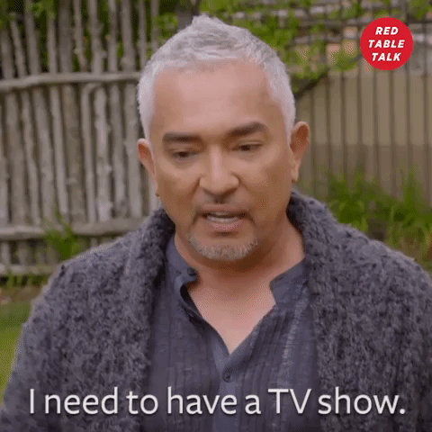 Cesar Millan I Need To Have A Tv Show GIF by Red Table Talk - Find ...