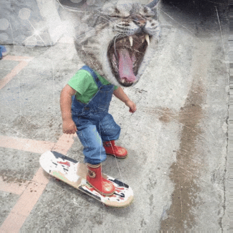 Cat Growling GIF by jorgemariozuleta - Find & Share on GIPHY