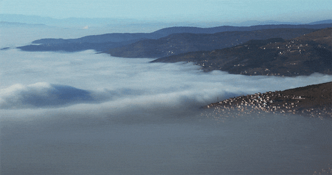 Fog Splashing GIF - Find & Share on GIPHY