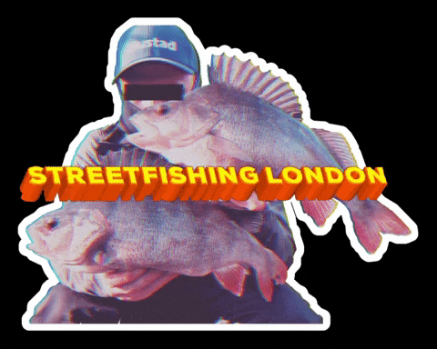 Bass Lure GIF by Streetfishing London - Find & Share on GIPHY