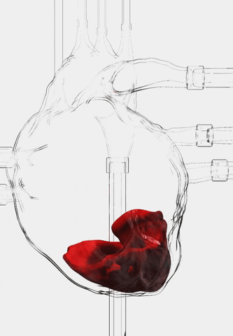 Heart Blood GIF - Find & Share on GIPHY