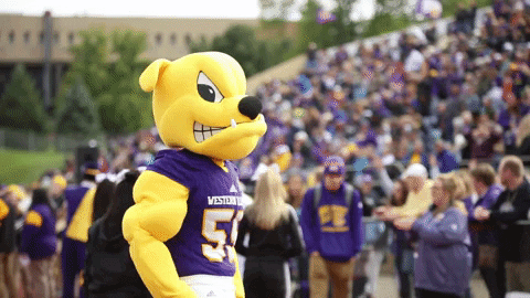 Game Football GIF by Western Illinois University - Find & Share on GIPHY