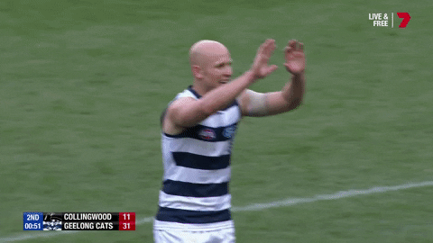 Afl Ablett GIF by geelongcats - Find & Share on GIPHY
