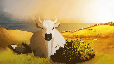 Ireland Atlantic GIF by Matchbox Mountain - Find & Share on GIPHY