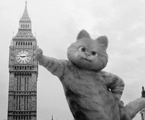 Stuff GIF - Find & Share on GIPHY