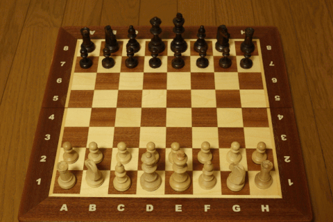 Chess GIFs - Find & Share on GIPHY