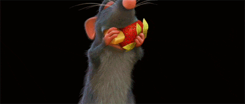Cheese Rat GIF - Find & Share on GIPHY