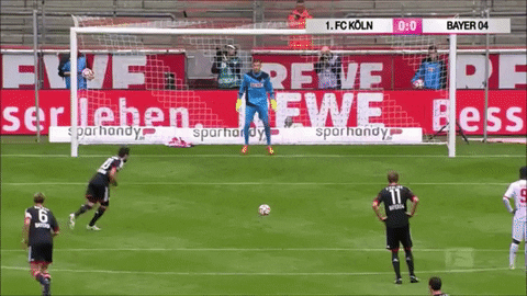 Timo Horn GIF by 1. FC Köln - Find & Share on GIPHY