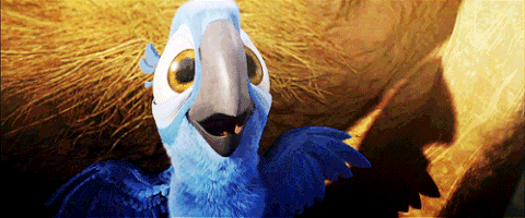 Rio GIF - Find & Share on GIPHY