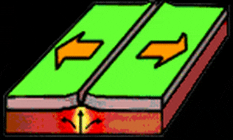 Divergent GIFs - Find & Share on GIPHY