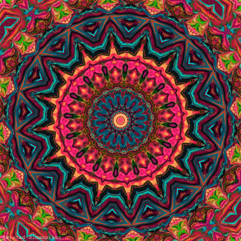 Indie GIF - Find & Share on GIPHY