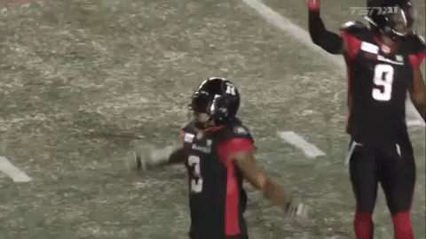 Football Cfl GIF by Ottawa REDBLACKS - Find & Share on GIPHY
