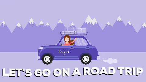 Car Travel GIF by tripo - Find & Share on GIPHY