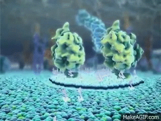 Inner Life Of The Cell GIFs - Find & Share on GIPHY