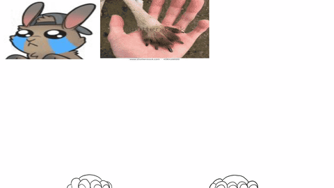 Twitch Alerts Gifs Find Share On Giphy