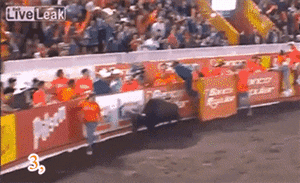 Fun Texas GIF - Find & Share on GIPHY