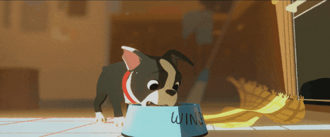 Feels Boston Terrier GIF by Disney - Find & Share on GIPHY
