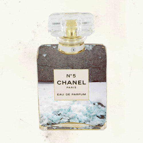 Chanel GIF - Find & Share on GIPHY