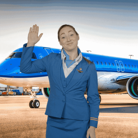 Cabin Crew Dance GIF by KLM - Find & Share on GIPHY