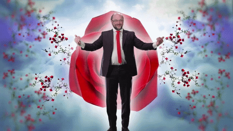Martin Schulz Rose GIF by funk - Find & Share on GIPHY