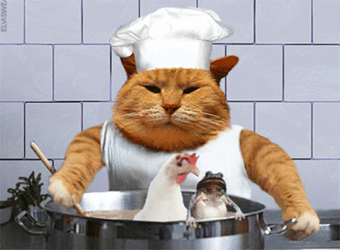 Cooking GIFs - Find & Share on GIPHY