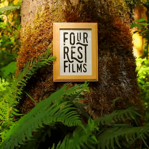 Web Series Filming GIF by Four Rest Films - Find & Share on GIPHY