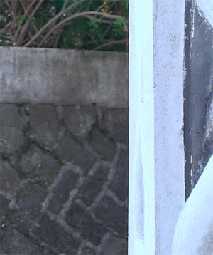 Gravure GIFs - Get the best GIF on GIPHY