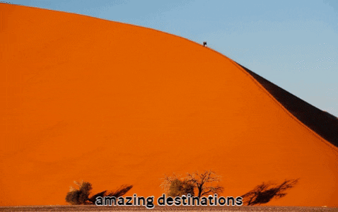 Travel Africa GIF by Amazing Destinations - Find & Share on GIPHY