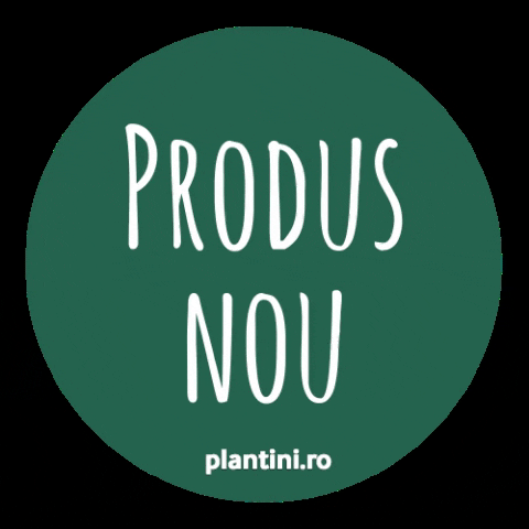 New Product GIF by Plantini - Find & Share on GIPHY