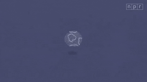 Morph Circle Of Life GIF by Marcie LaCerte - Find & Share on GIPHY