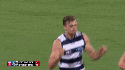 High Five Geelong Cats GIF - Find & Share on GIPHY