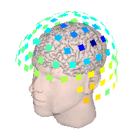 Brain GIF - Find & Share on GIPHY