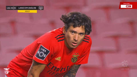 Sl Benfica Waiting GIF by Sport Lisboa e Benfica - Find & Share on GIPHY