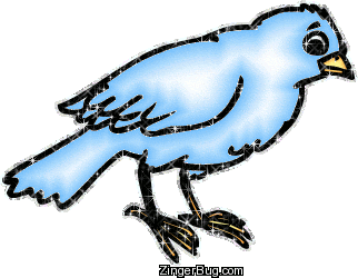 Transparent Bird Gif