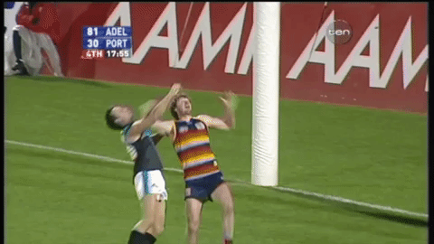 Afl Memories GIF by Adelaide Crows - Find & Share on GIPHY