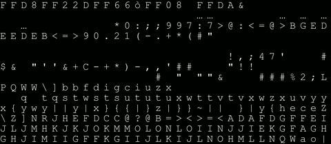 Animated GIF - Find & Share on GIPHY