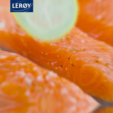 Fish Health GIF by Lerøy Seafood - Find & Share on GIPHY