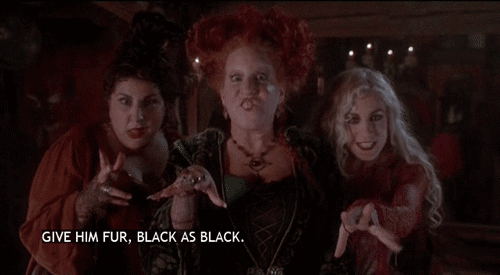 Movie Hocus Pocus GIFs - Find & Share on GIPHY