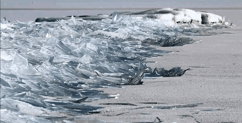 To the Bright Edge of the World by Eowyn Ivey – Long Story Short