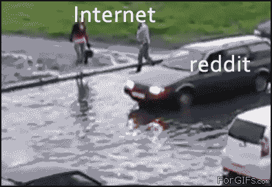 Internet GIF - Find & Share on GIPHY