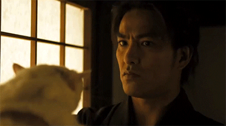 Cats Samurai GIF by Digg - Find & Share on GIPHY