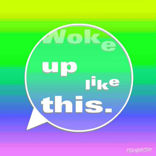 Wake Up Fox GIF by Animation Domination High-Def - Find & Share on GIPHY