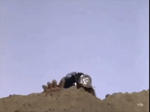 Hiding Creeping GIF by The Monkees - Find & Share on GIPHY