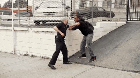 Police GIF - Find & Share on GIPHY