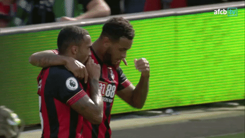 Football Soccer GIF by AFC Bournemouth - Find & Share on GIPHY