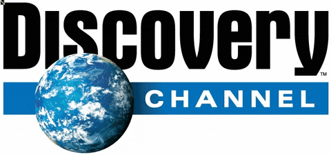 Discovery Channel GIF - Find & Share on GIPHY