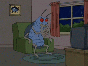 Bug GIF - Find & Share on GIPHY