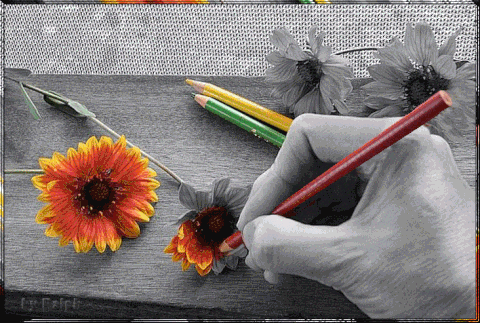 Coloring GIFs - Find & Share on GIPHY