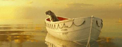 Life GIF - Find & Share on GIPHY