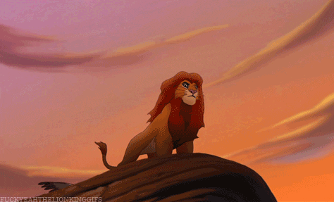 Simba GIF - Find & Share on GIPHY